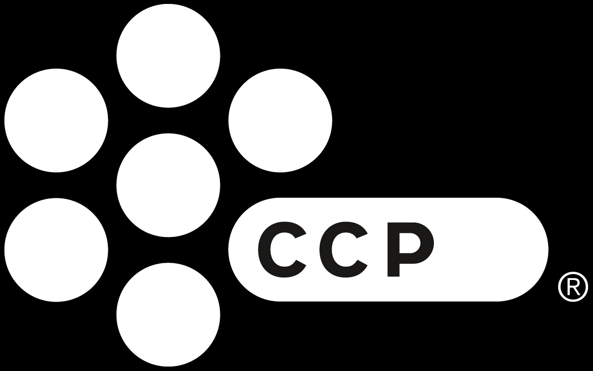 CPP Games está trabalhando num novo MMORPG - MMOs Brasil